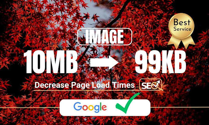 Optimize image size for the web or compress and resize images pictures ...