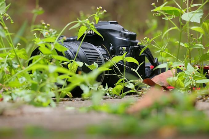 Professionally capture your photographs and edit them by Walterchez ...