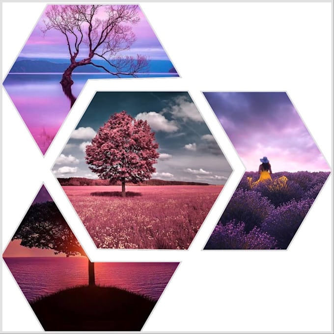 Do collage work in your photos in the most perfect way by Havva_ozger ...