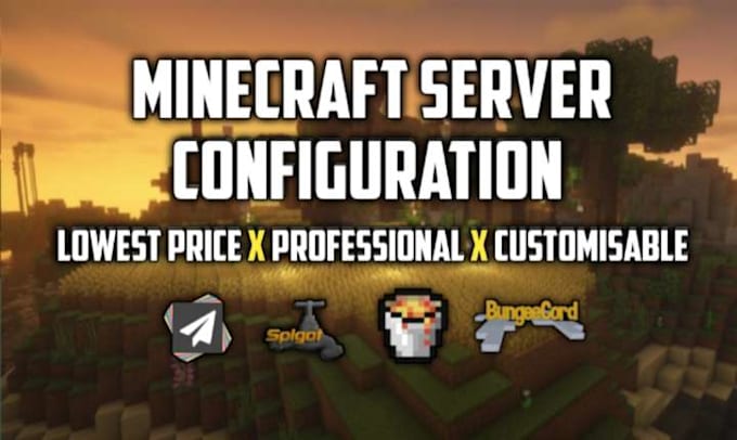Make you a unique minecraft server as your requirements by Hmmbo_mc ...