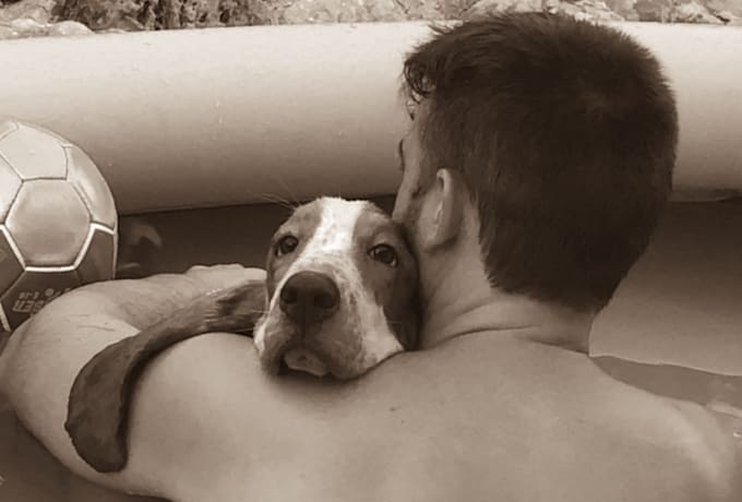 Coach canino adiestrador profesional canino y felino by Sspike23 | Fiverr