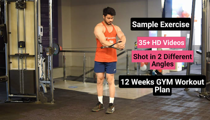 Give you 12 weeks of muscle building workout plan by Teammiq | Fiverr