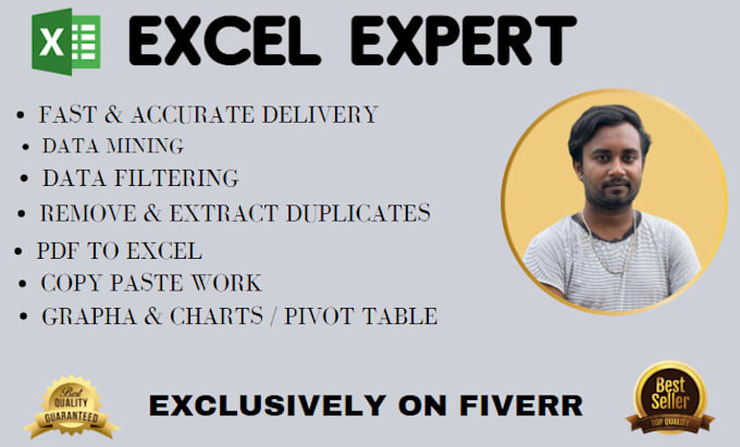 Do Excel Data Filtering And Sorting Services By Abhishekbha Fiverr