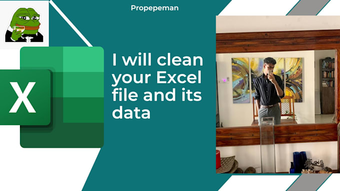 Do excel data cleaning, data entry and data cleanup by Propepeapollo | Fiverr