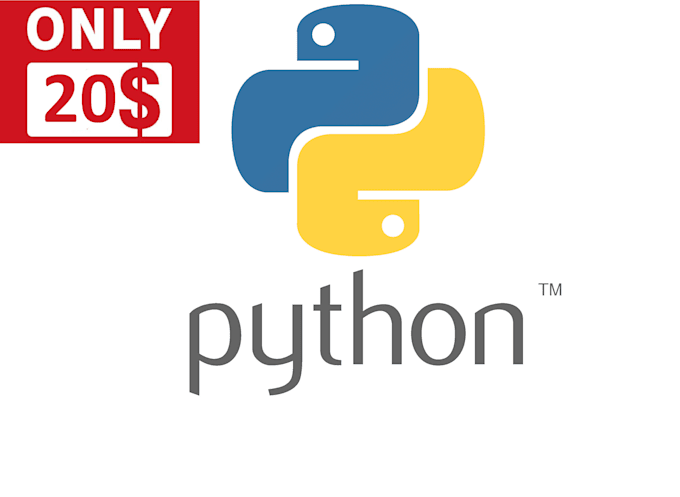 Do python for you by David_s01 | Fiverr
