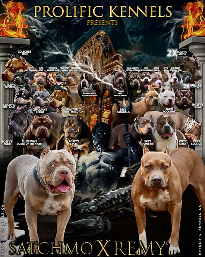 Create top tier breeding, stud, dam, and pedigree banners for you by ...