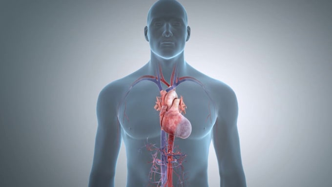 Create 3d medical animation, surgery, medical animation by Madona01 ...