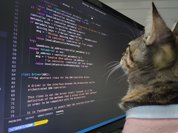 Teach You Python Programming From The Very Basics By Schneider8357 Fiverr