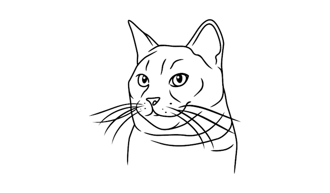 Draw your pets or any animal with simple outline by Pamelo_design | Fiverr