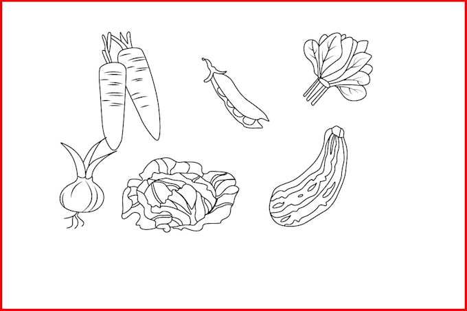 Draw vegetables, fruits, plants, foods digital illustrations by ...