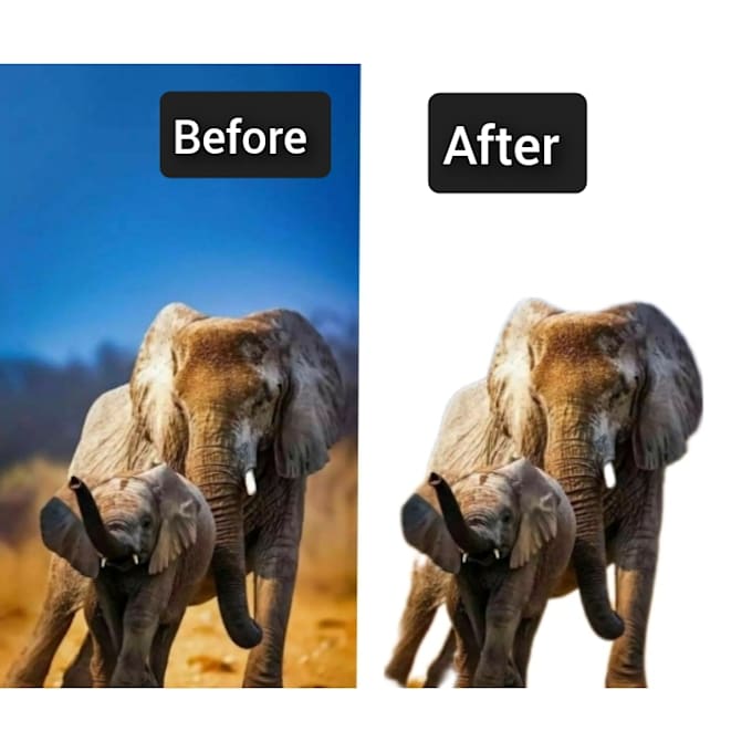 Remove any background from the image by Srujankn | Fiverr