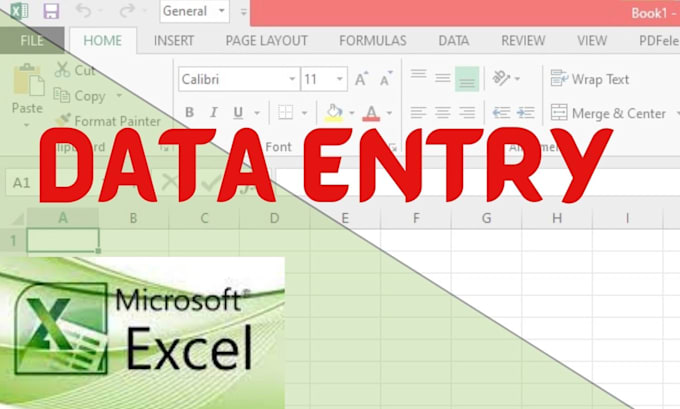 Entry your data in microsoft excel by Eng_keshab | Fiverr