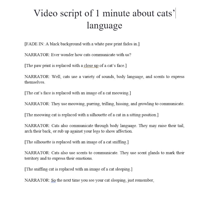 Create a video script for youtubers by Mehdi_salvatore | Fiverr