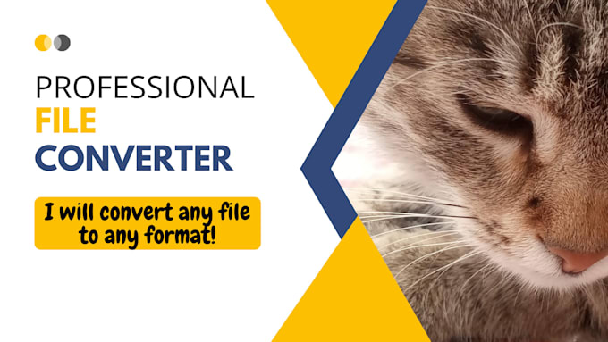 Convert any file to any format by Ayaannoman14 | Fiverr