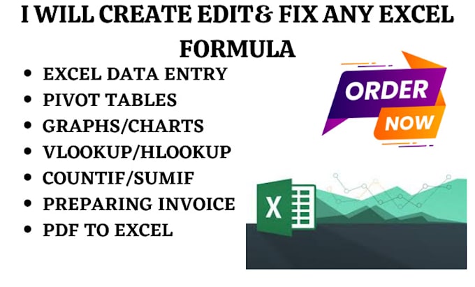 Build Excel Spreadsheet Data Entry Formulas Charts Pivot Table By Amalamatangi Fiverr