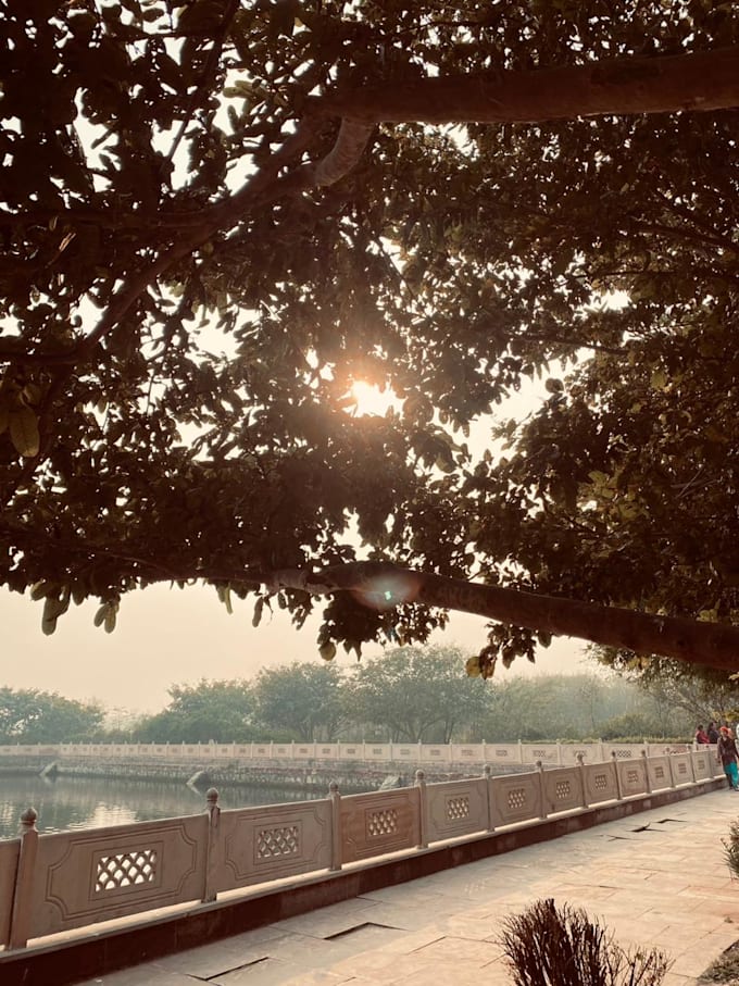 Edit instagram reels with captions by Chavi_sharma | Fiverr