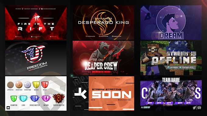 Create a professional esports branding by Willnigeldjesus | Fiverr