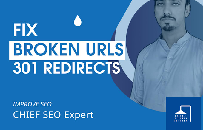 Fix broken urls in wordpress and redirect to improve seo by Chiefseo735 | Fiverr