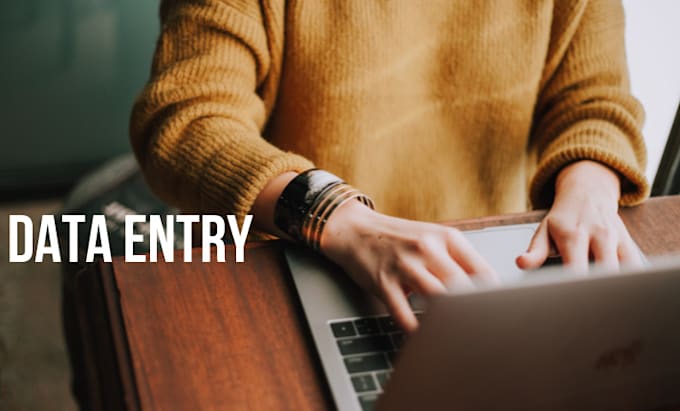 Professionally enter data, research, and copy paste by Daniyalmdak2004 ...