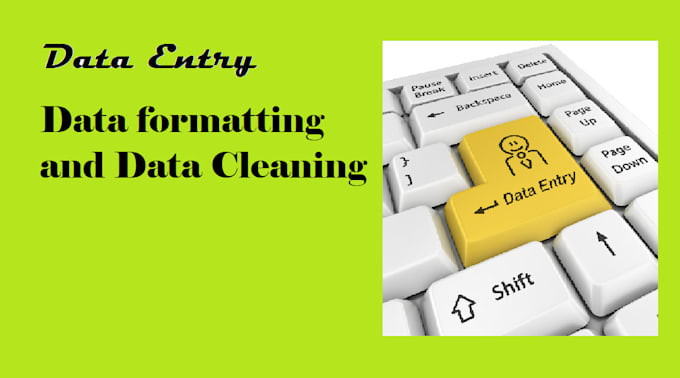 Do data formatting and data cleaning for you by Yashchodankar24 | Fiverr