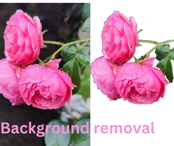 Remove backgrounds from your images by Healthbeauty201 | Fiverr