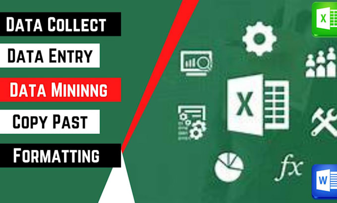 Do data entry in excel,web scraping,data mining, in 24 hours by Jahan1234 | Fiverr