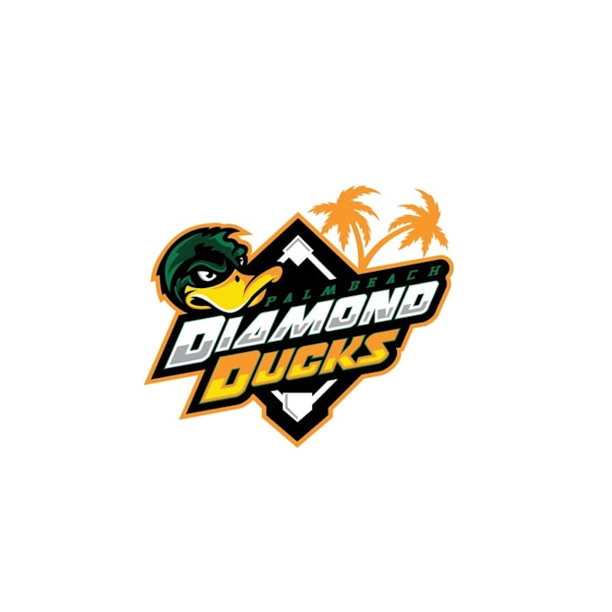 Design an eye catching diamond ducks baseball logo by Marlene_javier ...