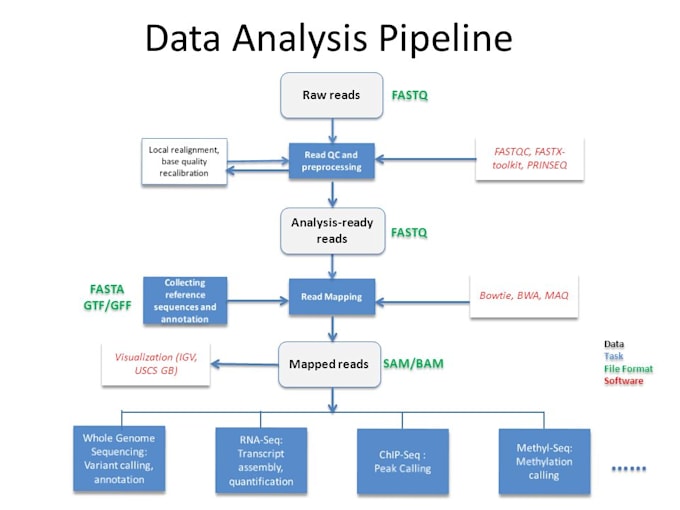 Ngs data analysis for any biological data by Tehreemali894 | Fiverr