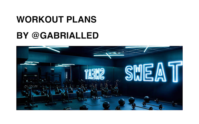 Write you the gym plan by Gabrialled | Fiverr