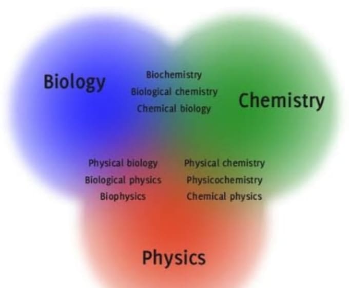Help you in chemistry biology physics by Hayat_umar2 | Fiverr
