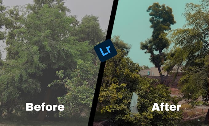 Color grade and retouch your photos in 1 day by Rafayjatoi | Fiverr