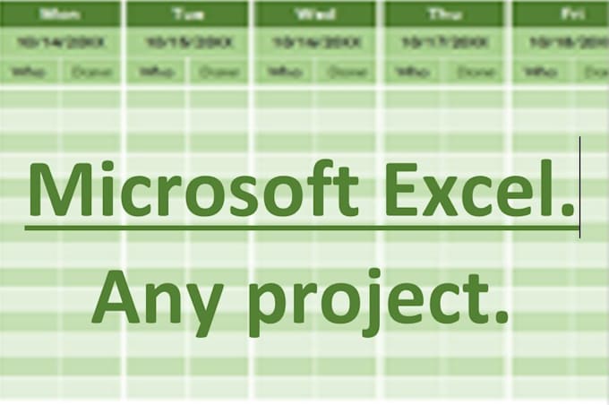 Complete your microsoft excel project by Wzrdone | Fiverr