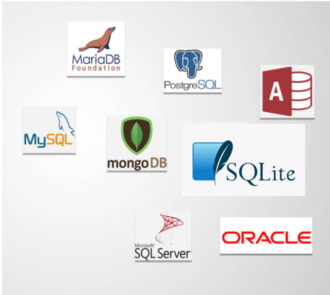 Write Sql Database Database Designdatabase Sql Excel Sheet Macros Formulas By Ayazus213 Fiverr