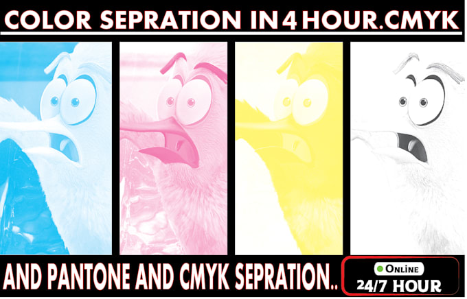 Do colors separation for screen printing cmyk, spot colors by ...