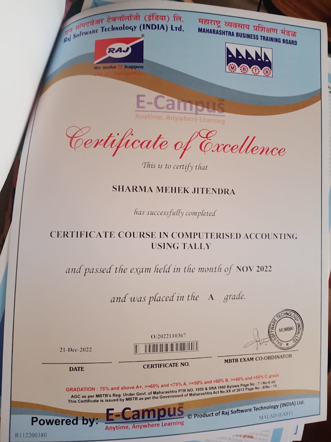 Do data enteries and in most presentable manner in 1 hour by ...