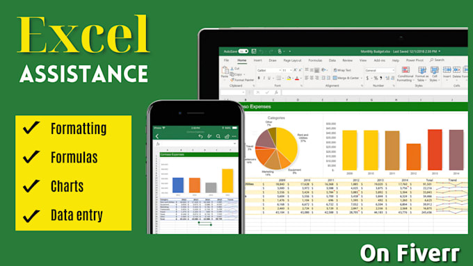 Do everything on excel like formula, formatting, macro, charts by Luis ...