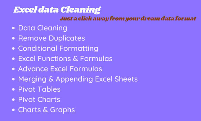 Do excel data cleaning, formatting, merging, sorting for you by Basharatasghar | Fiverr