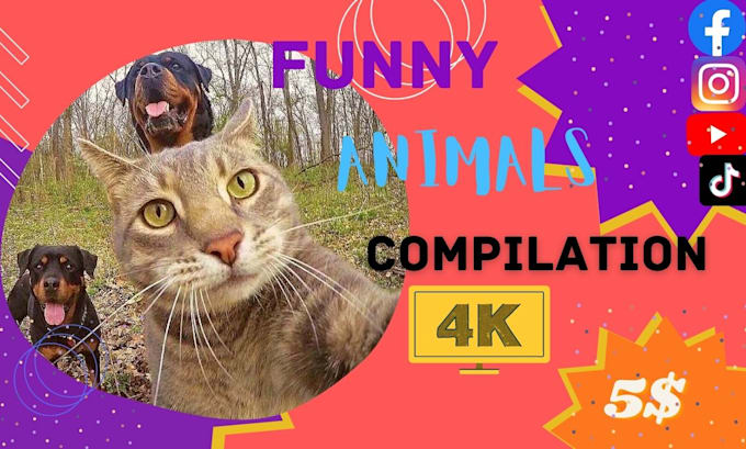 Edit monetizable funny animal and pet compilation for you by Epicoo1 ...