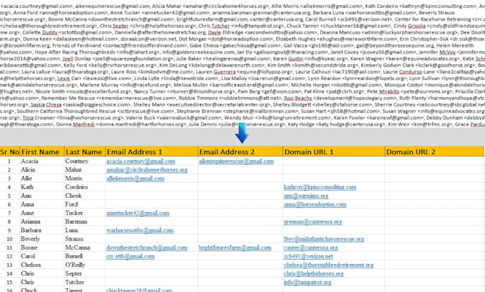 Split text into multiple columns by Asheersubhan | Fiverr
