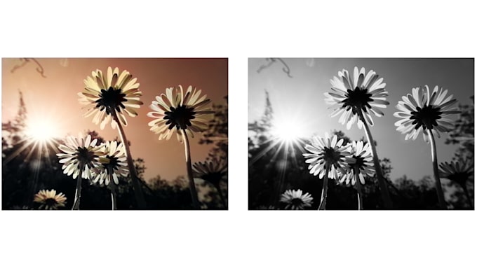 Colorize your black white photos and do your other ps works by ...
