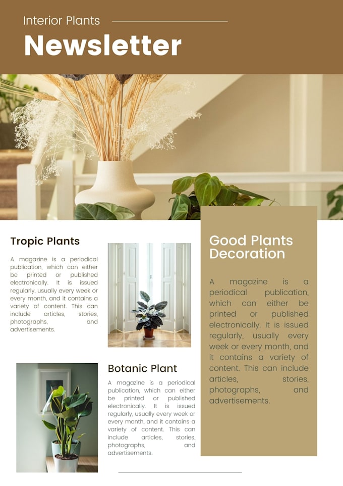 Design amazing email templates within 10 hours by Foujiaislam | Fiverr