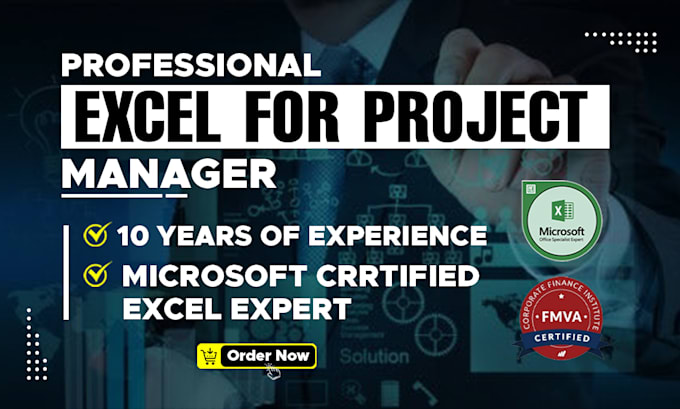 Create professional microsoft excel based project management module ...