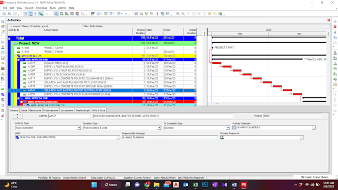 Create detailed schedule with primavera p6 and do evm analysis by Rahoomy | Fiverr