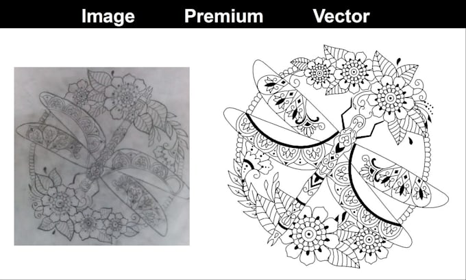 Convert any jpg or png file to a vector file by Sbshoaib42 | Fiverr
