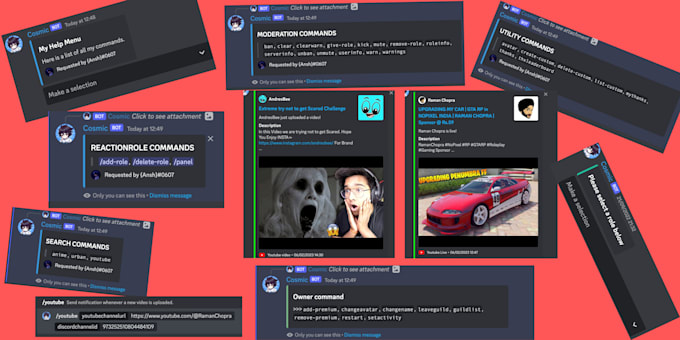 Create custom discord bot by Anshtyagi0 | Fiverr