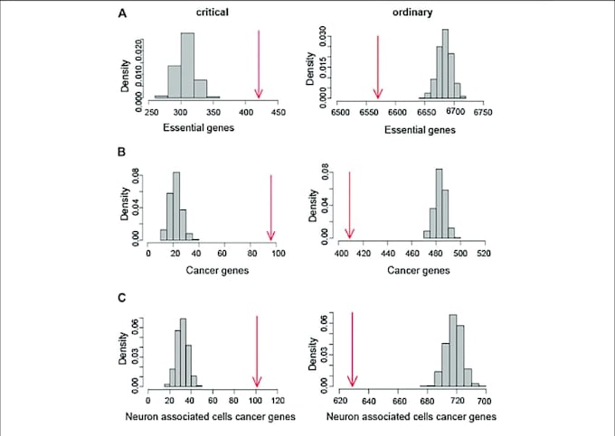 Do data analytics projects in python by Ochanjofelix | Fiverr