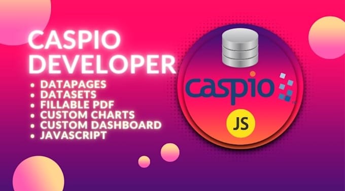 Develop caspio application, caspio datapages, datasets by Combinezpk | Fiverr