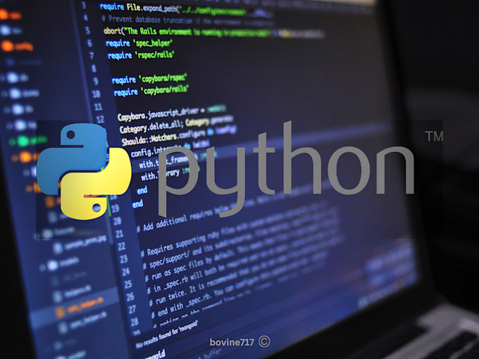 Be your python developer for your project by Bovine717 | Fiverr