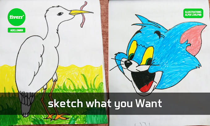 Draw your favorite character sketch with a video by Adellomrr | Fiverr