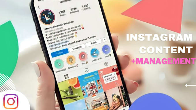 Create instagram content and manage your account by Soukainashayla | Fiverr